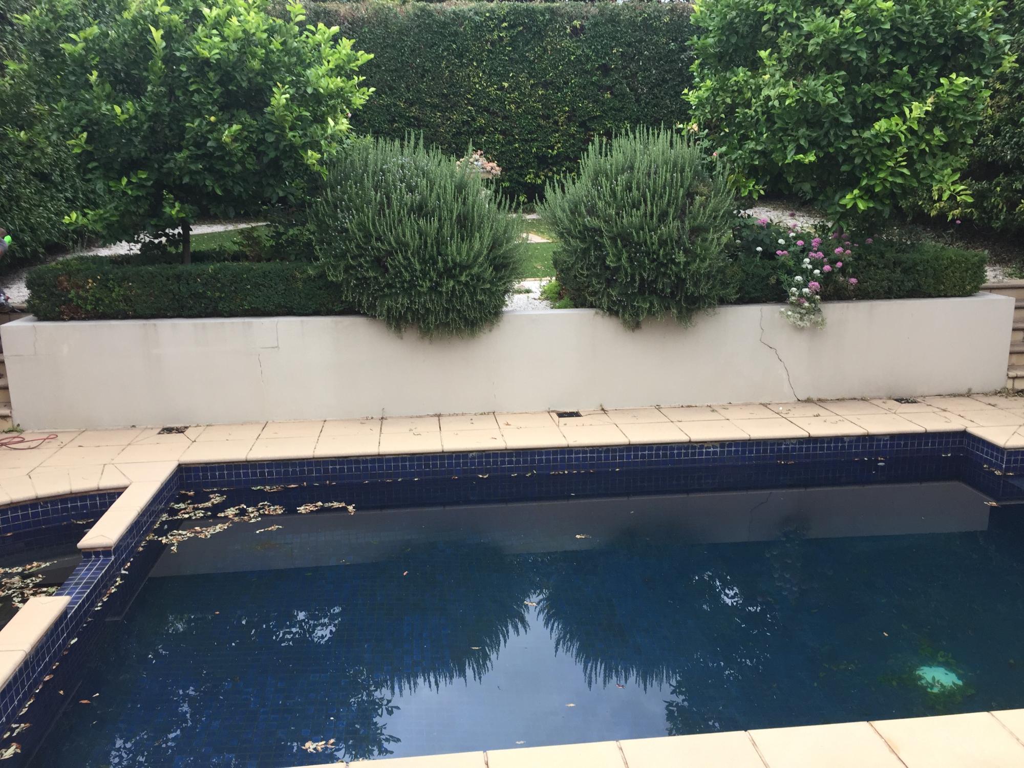 How to Know When It's Time to Say Goodbye to Your Pool | Reverse Pools